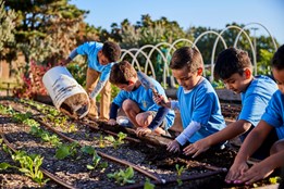 STEM Oppotunities in Scouting America, Seneca Waterways Council