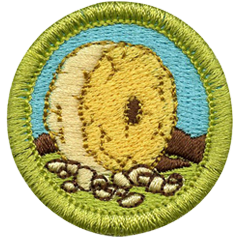 STEM Oppotunities in Scouting America, Seneca Waterways Council